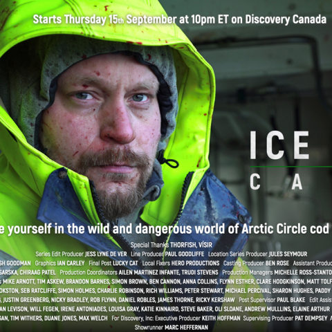 Fréttir | Vísir hf